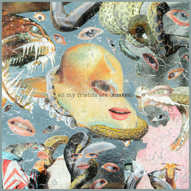 Matching Drapes – All My Friends Are (Snakes) – End Sessions