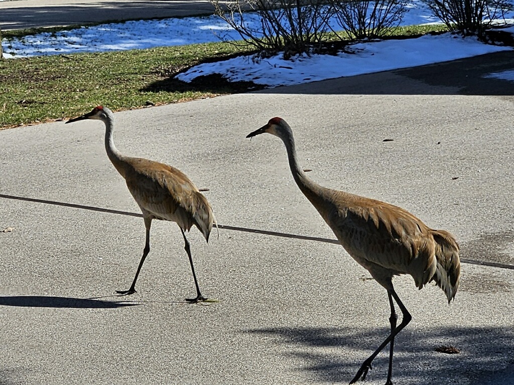 Ann Frances – Believe Me – End Sessions
