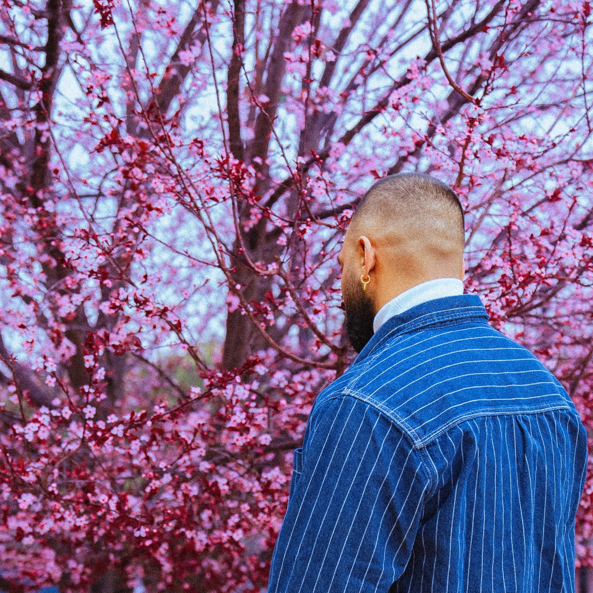 YDV – WHERE I STAY – End Sessions