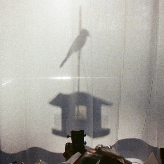 Schmoon – Pretty Darn Pretty – End Sessions