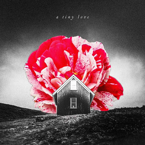 Animal Scream – A Tiny Love – End Sessions