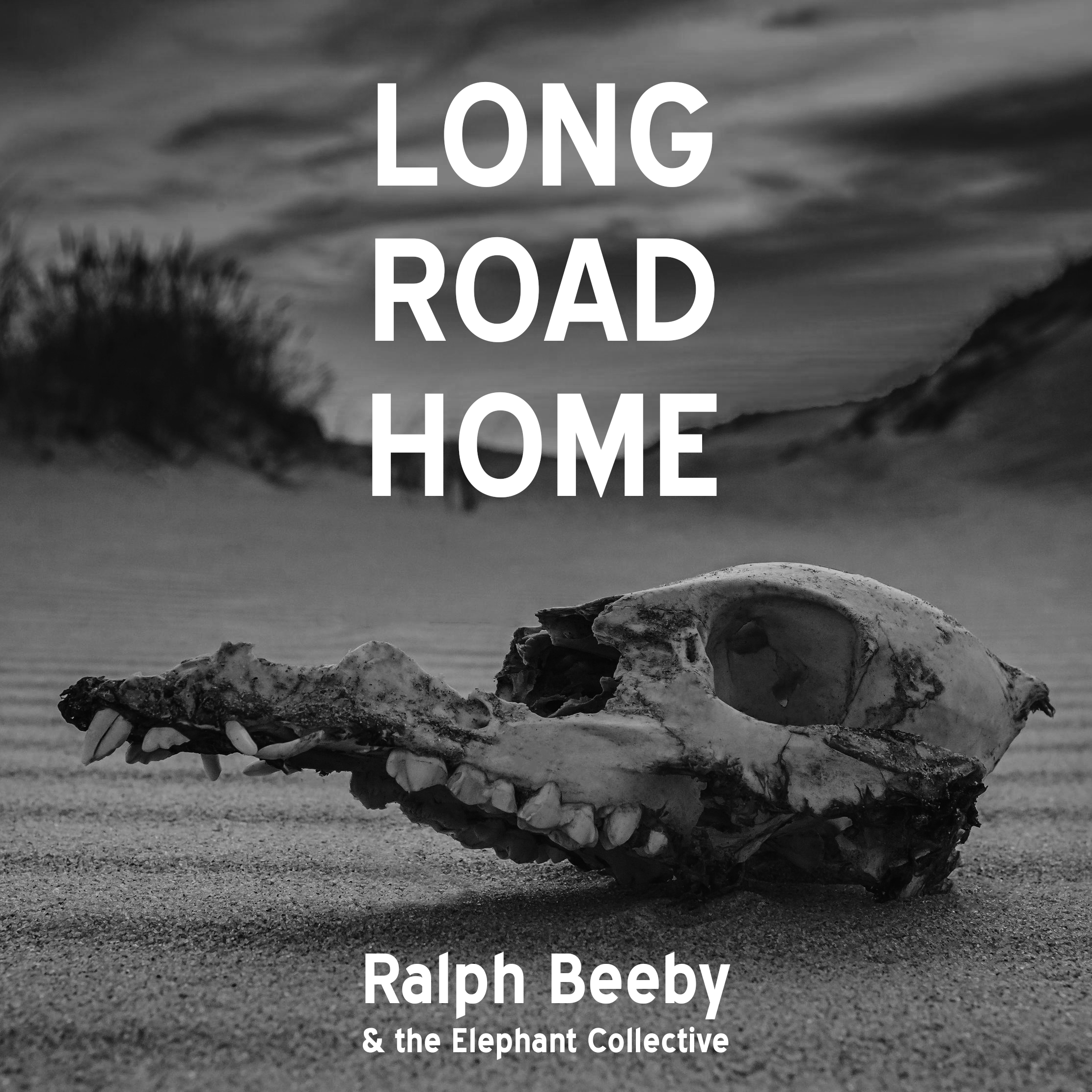 Ralph Beeby & the Elephant Collective – Long Road Home – End Sessions